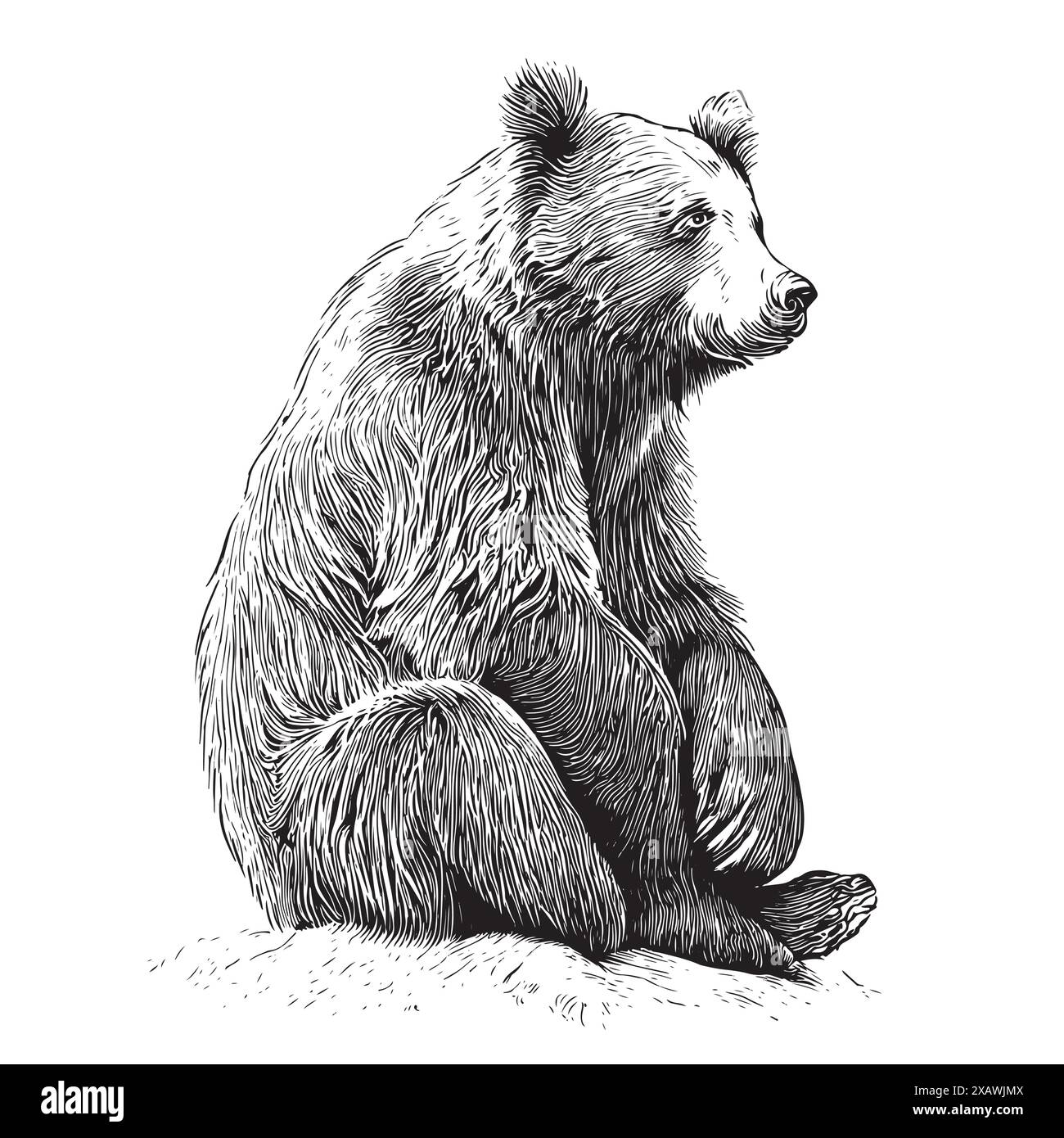 Drawn in ink isolated bear illustration sketch. linear art Stock Vector ...