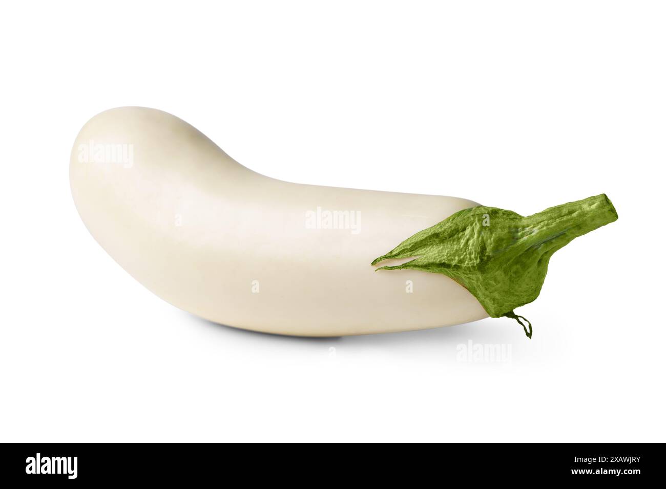 One fresh raw healthy white eggplant or aubergine vegetable isolated on ...