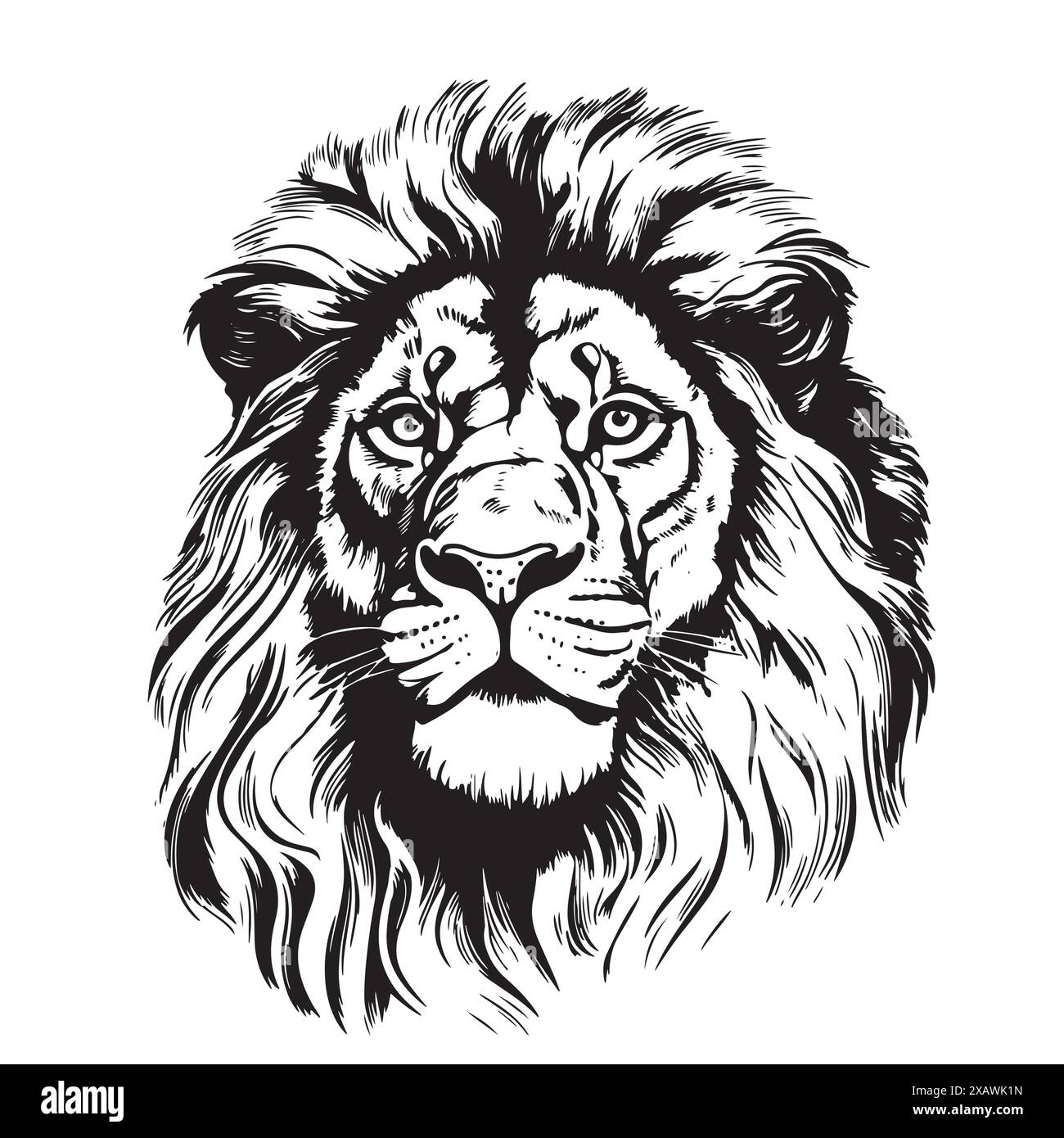Lion. Sketchy, graphical, black and white portrait of a lions head on a ...