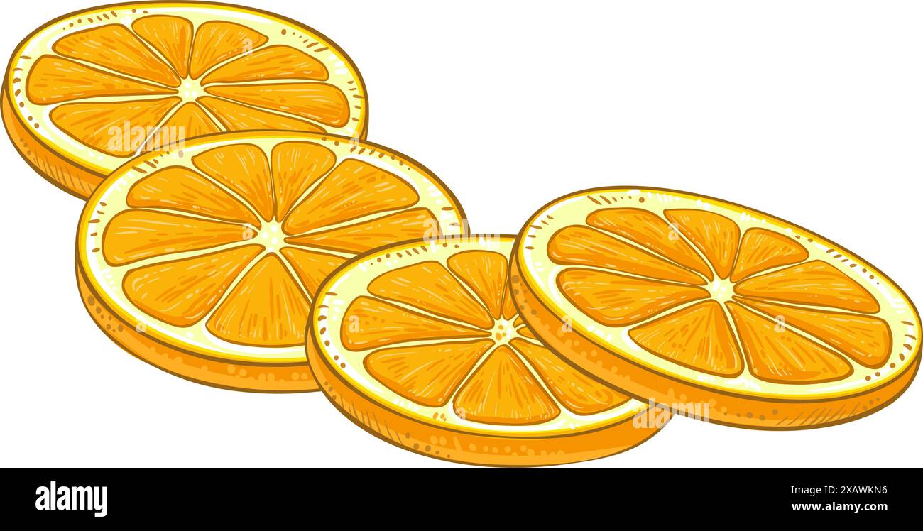 Orange Fruit Colored Detailed Illustration Stock Vector Image & Art - Alamy