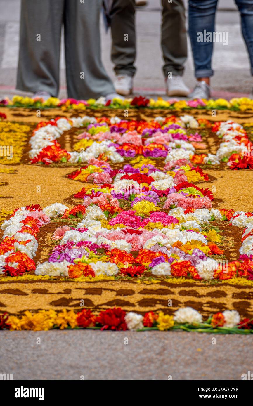 Carpet of red, yellow, violet and orange flowers placed by hand on the ...