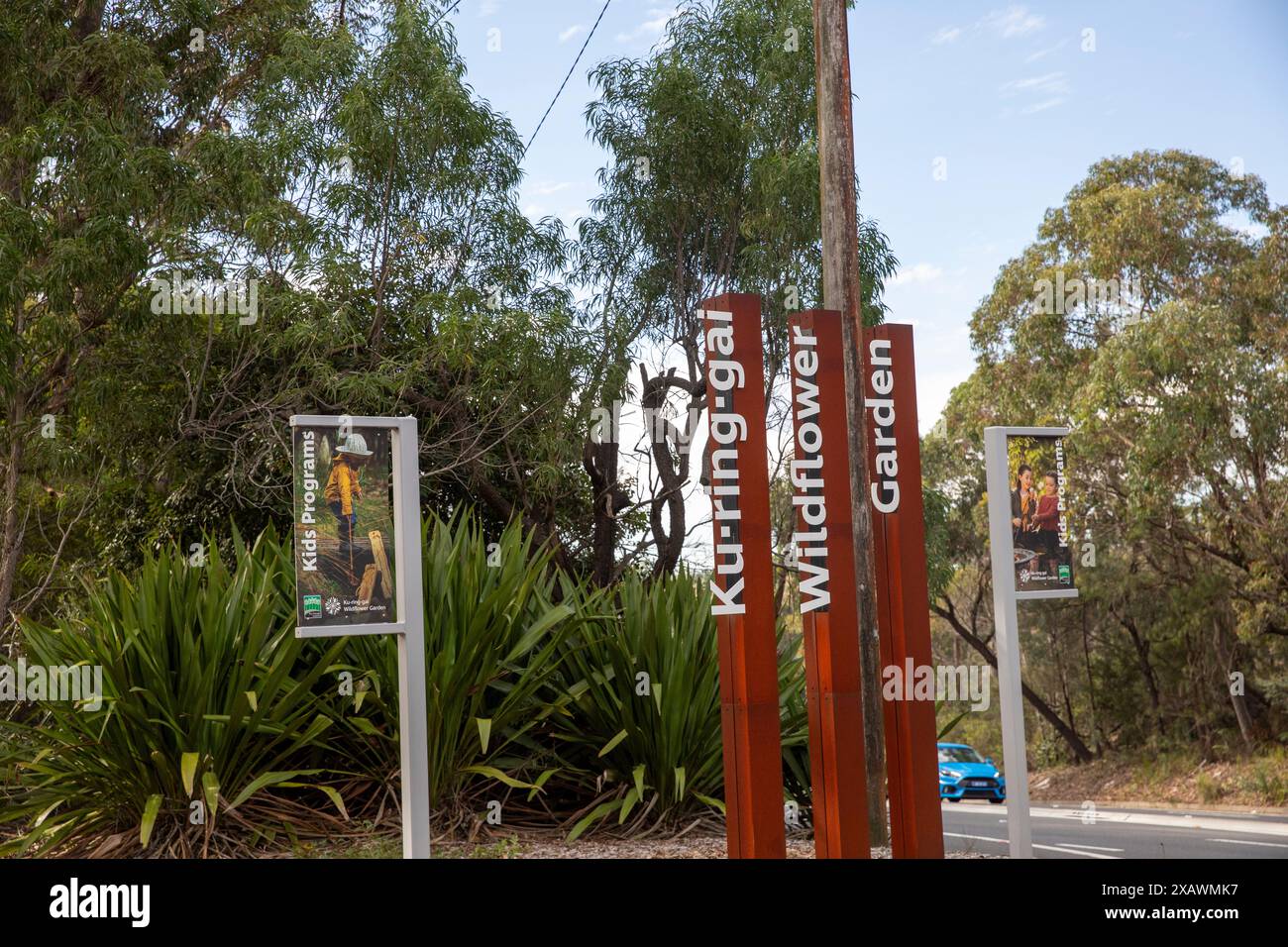 Ku ring gai wildflower garden hi-res stock photography and images - Alamy
