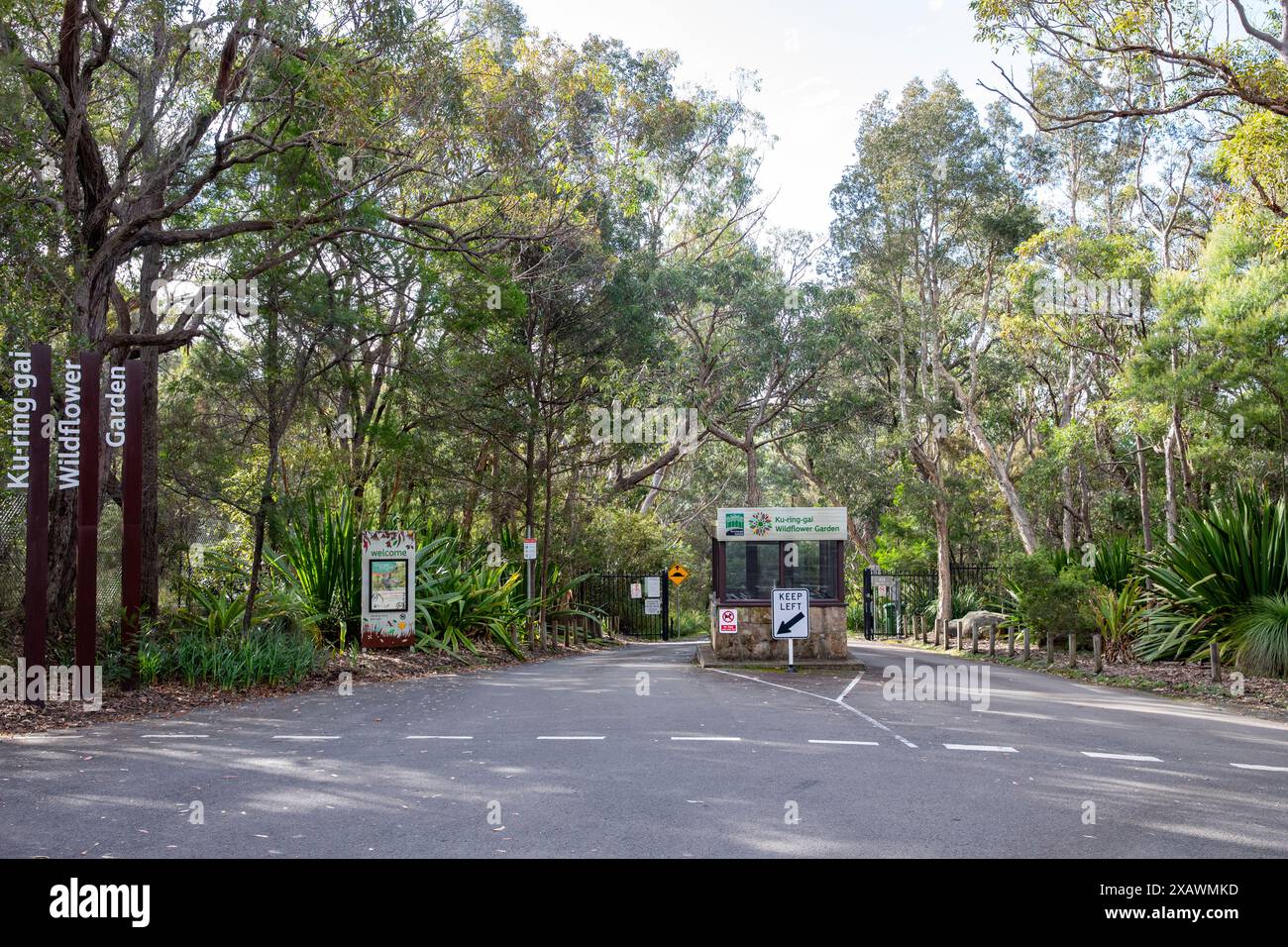 Ku-ring -gai wildflower garden in Terrey Hills, Sydney,Australia open to the public to view the ...
