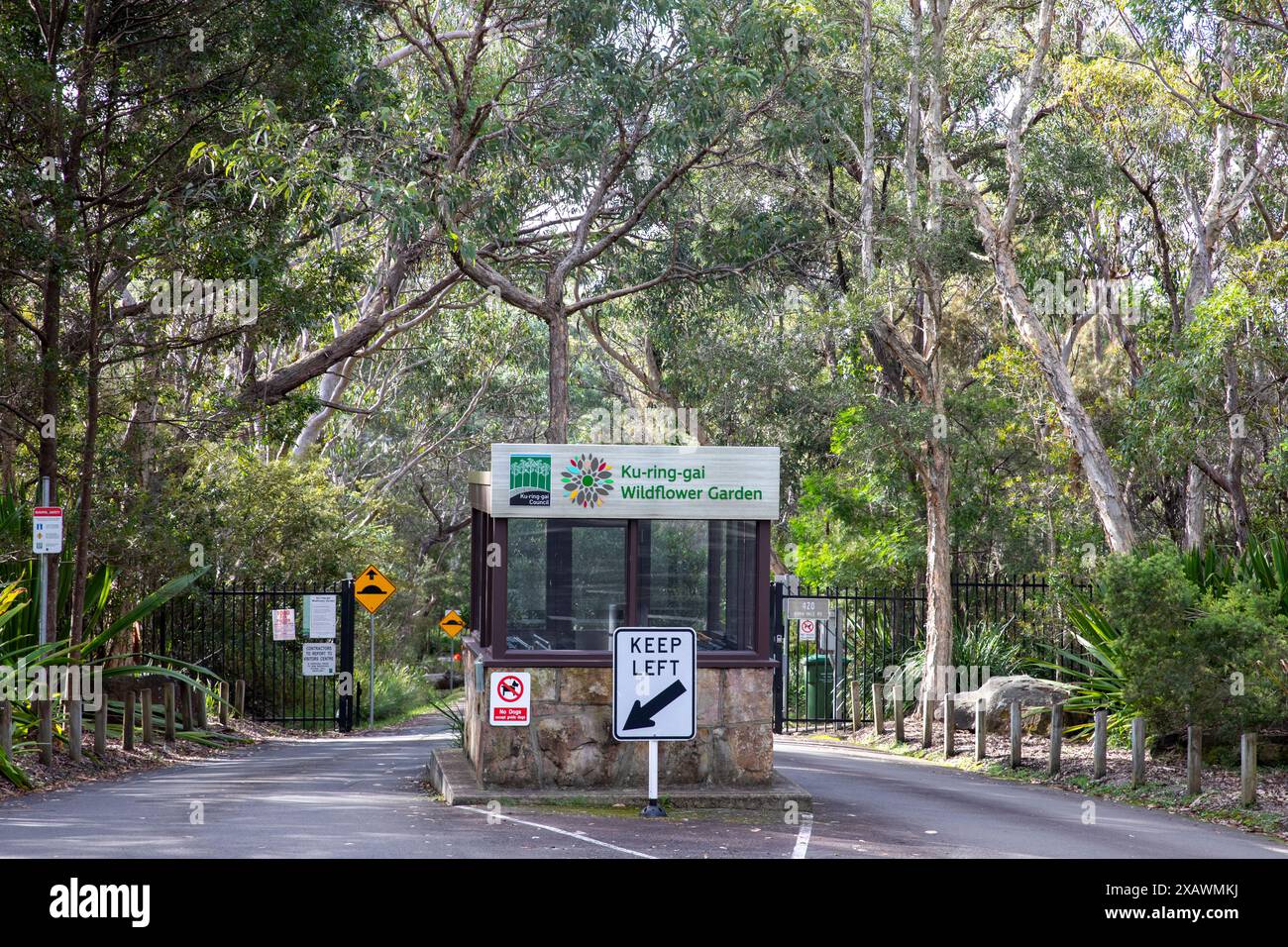 Ku ring gai wildflower garden hi-res stock photography and images - Alamy