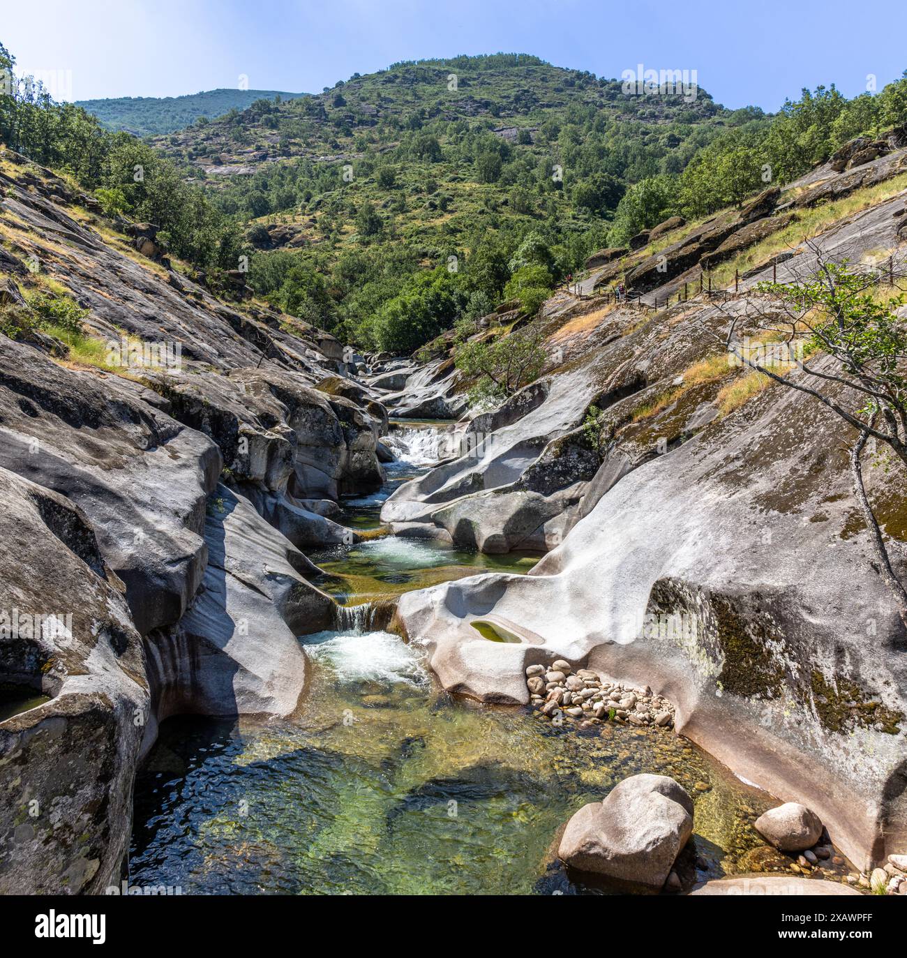 Espectaculo natural hi-res stock photography and images - Alamy