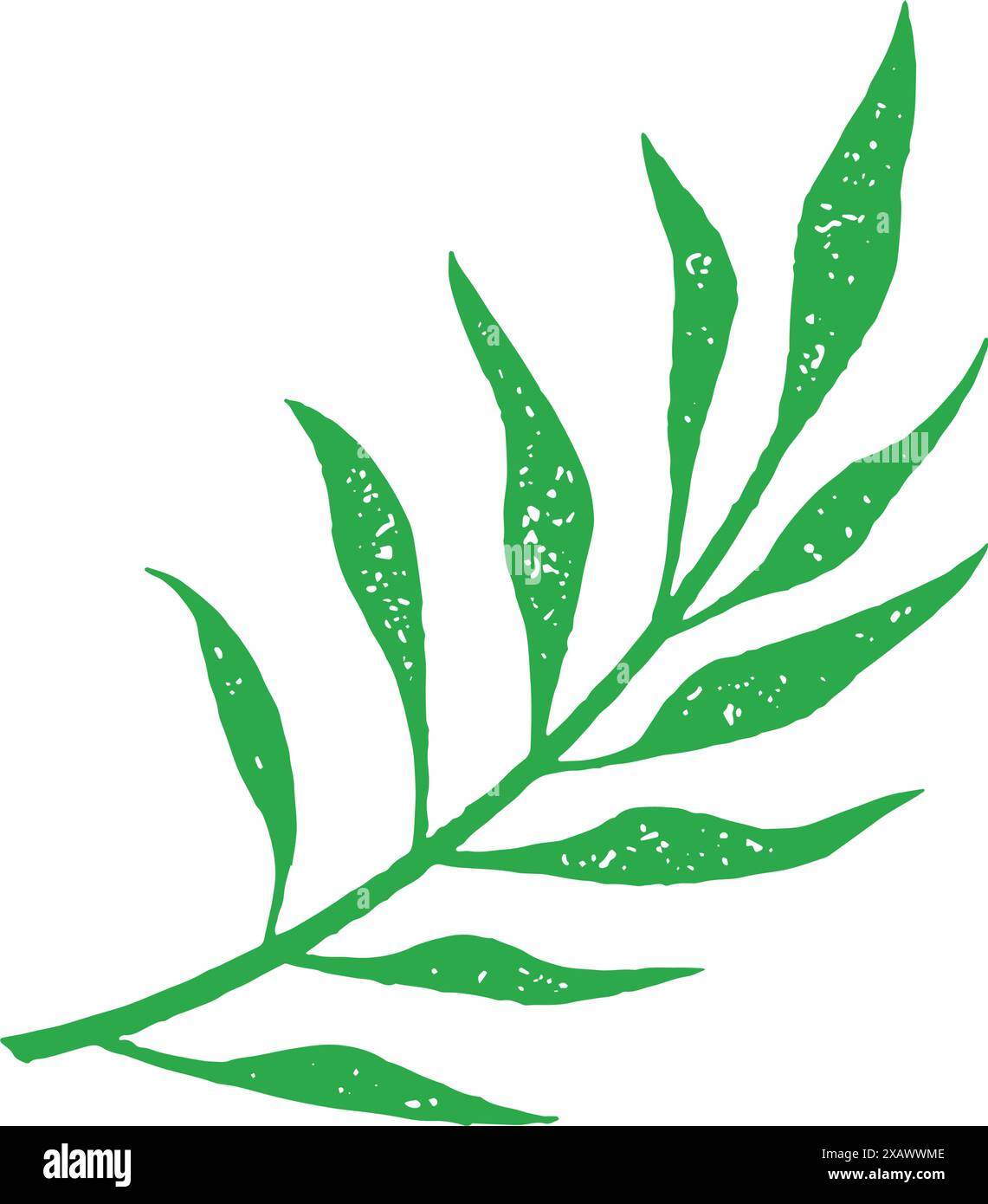 Fer tree Stock Vector Images - Alamy