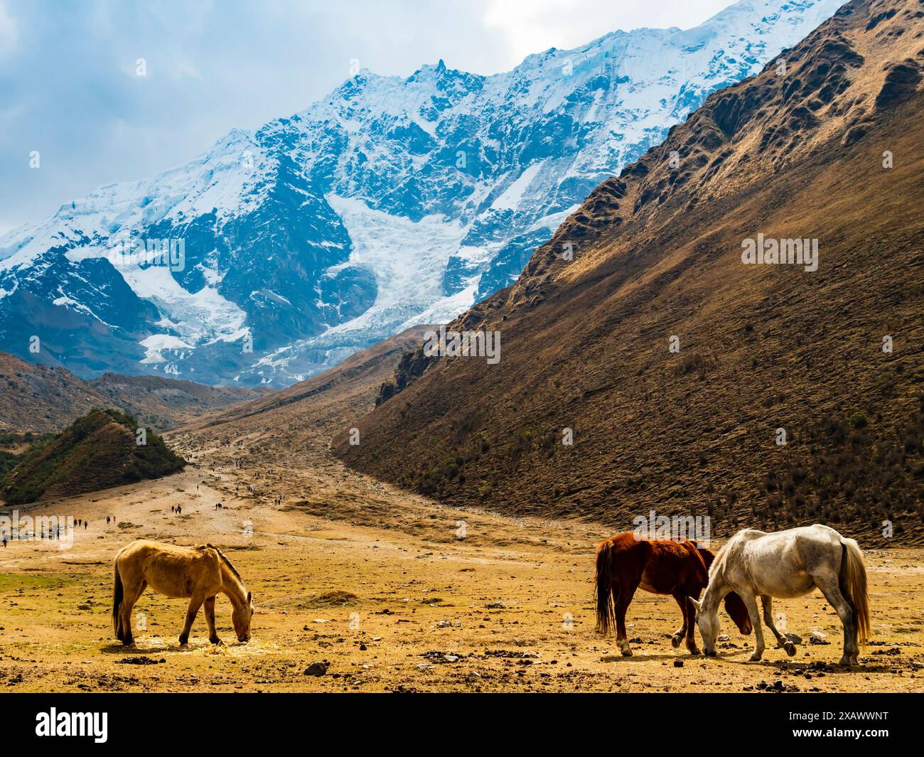 Stunning view of the trail leading to Humantay lake with snow-capped ...