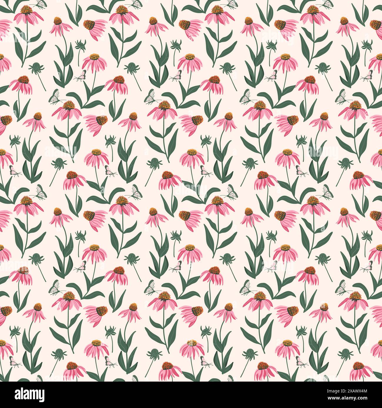 Vector seamless pattern of Coneflowers. Wildflowers endless background ...