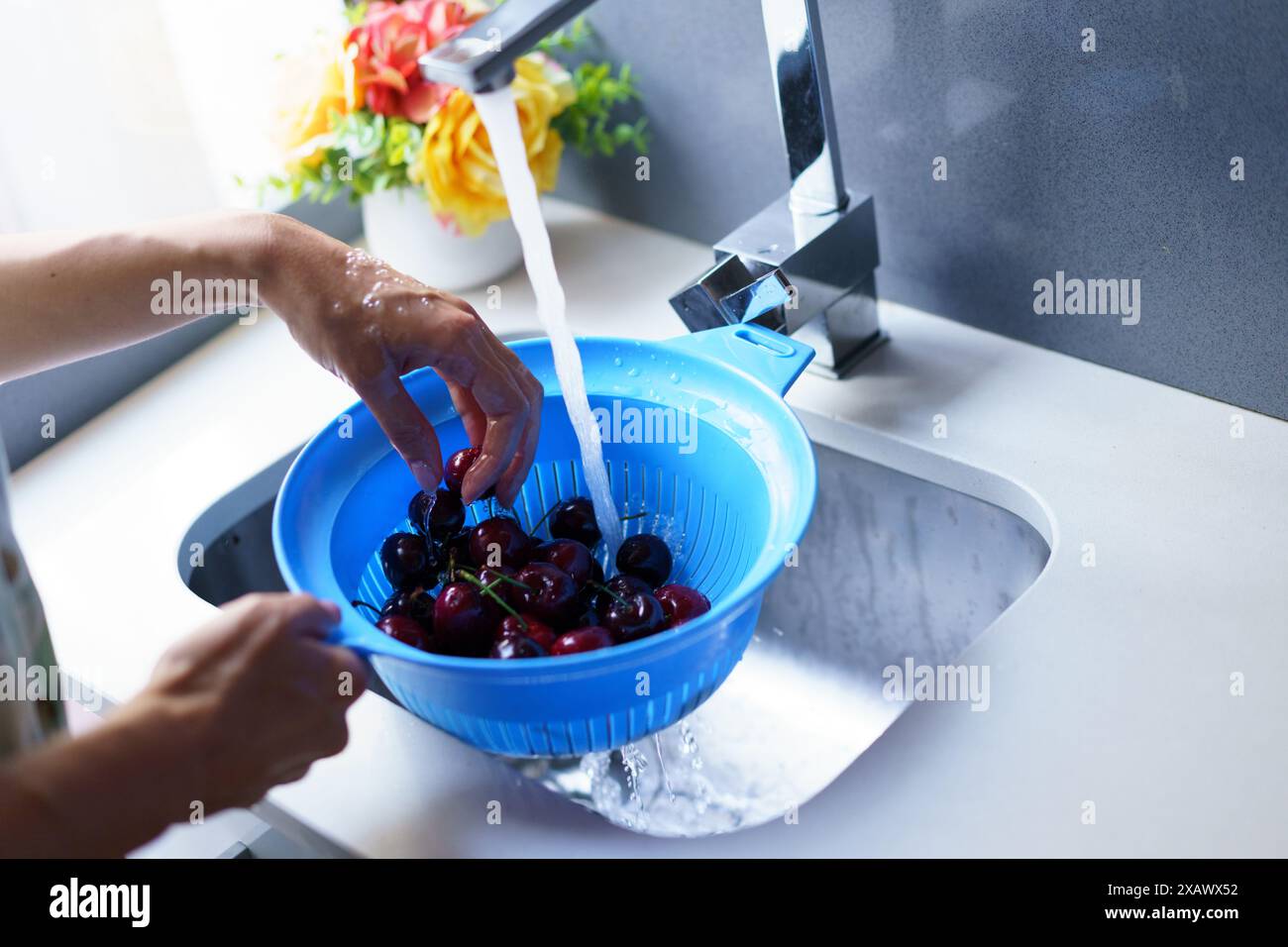Anonymous female washing cherries in sink Stock Photo - Alamy