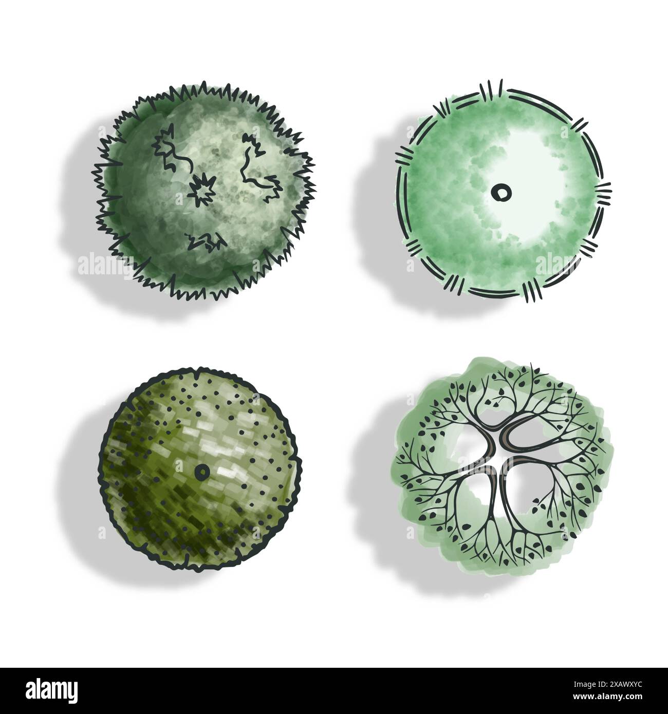 Set trees top view in color. Pictograms for general plans landscape ...