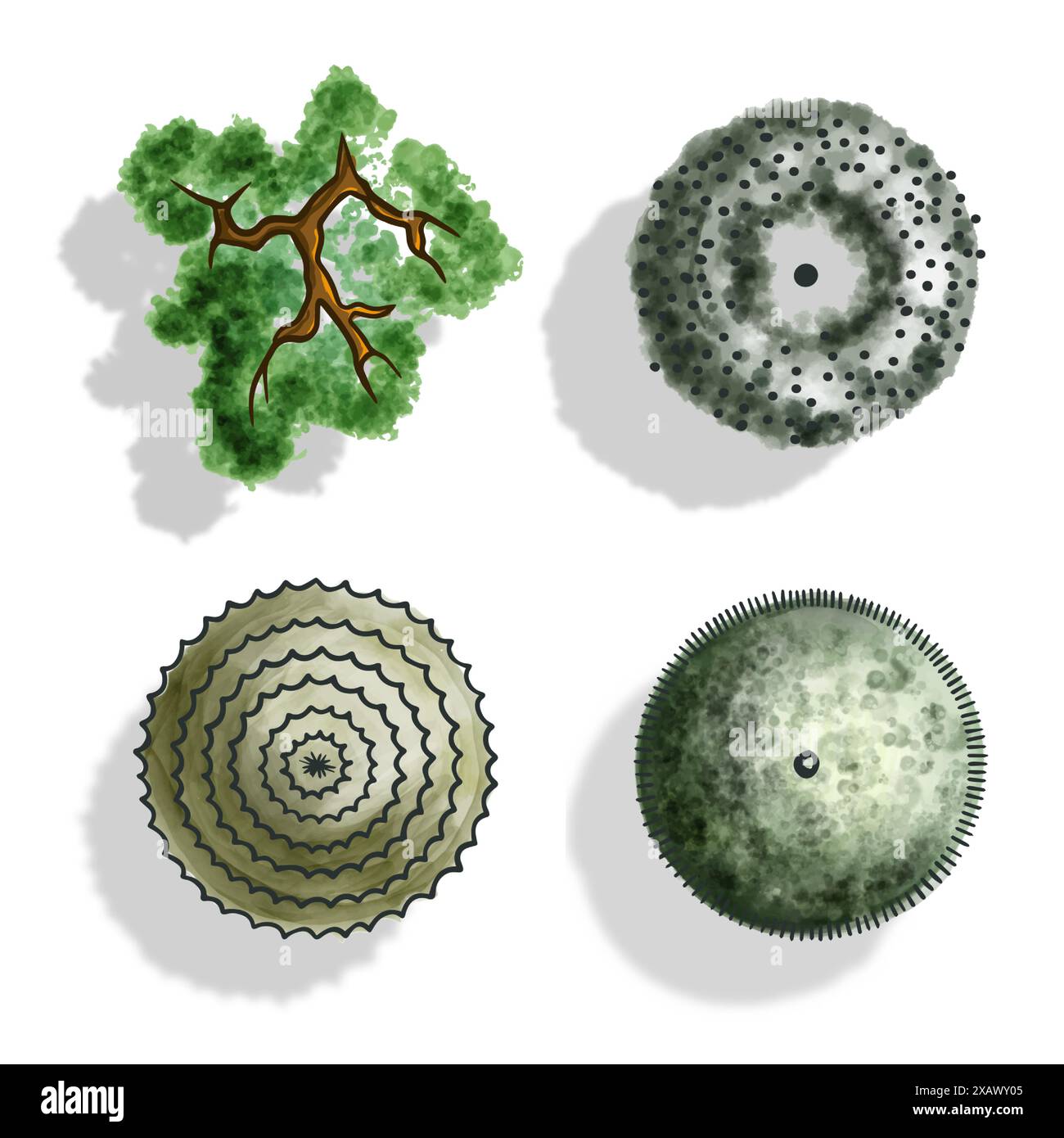 Set trees top view in color. Pictograms for general plans landscape ...