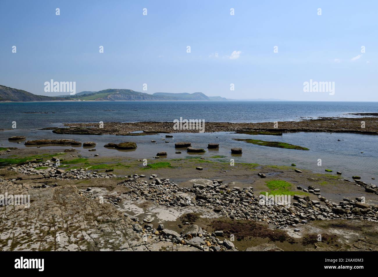 Coastline Lyme Regis Lyme Bay Somerset England uk May Spring 2024 Stock ...