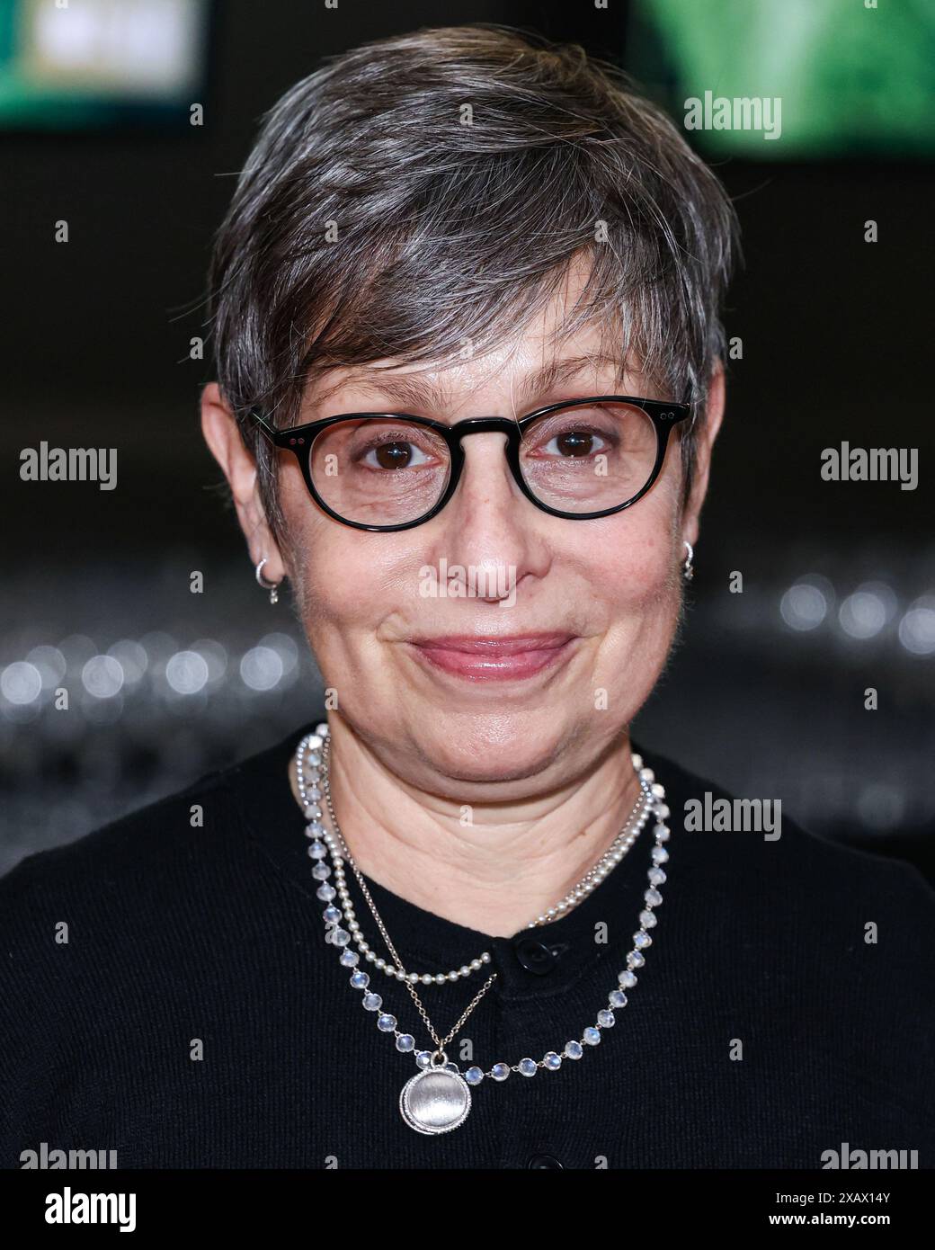 North Hollywood, United States. 08th June, 2024. NORTH HOLLYWOOD, LOS ...