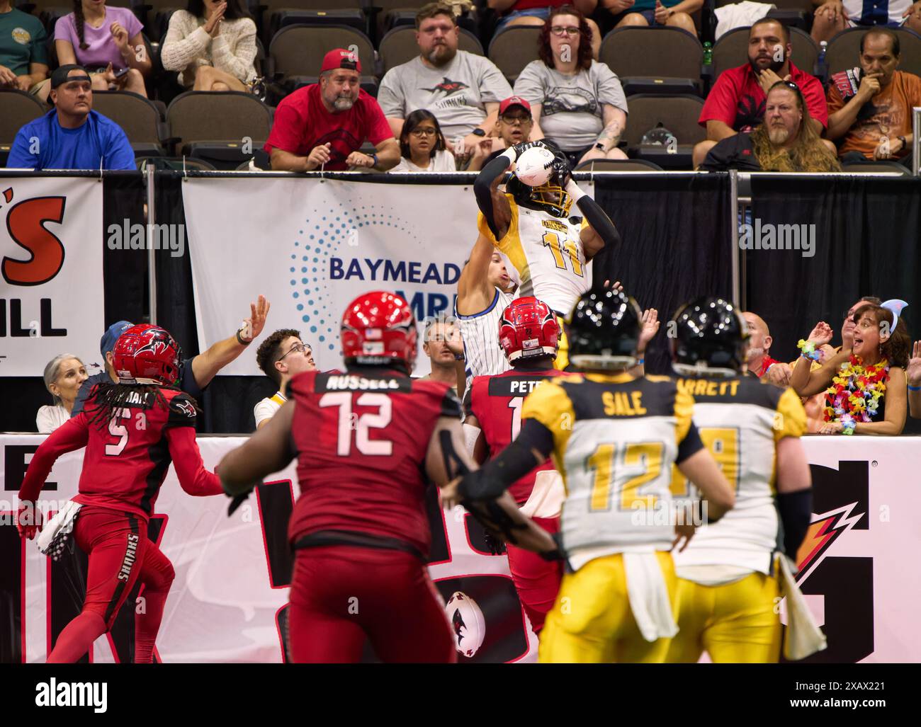 Jacksonville, Florida, USA. 8th Jun, 2024. Indoor Football League ...