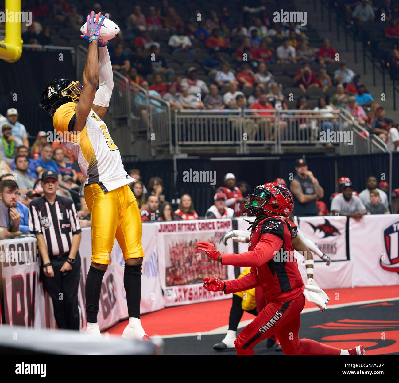 Jacksonville, Florida, USA. 8th Jun, 2024. Indoor Football League ...