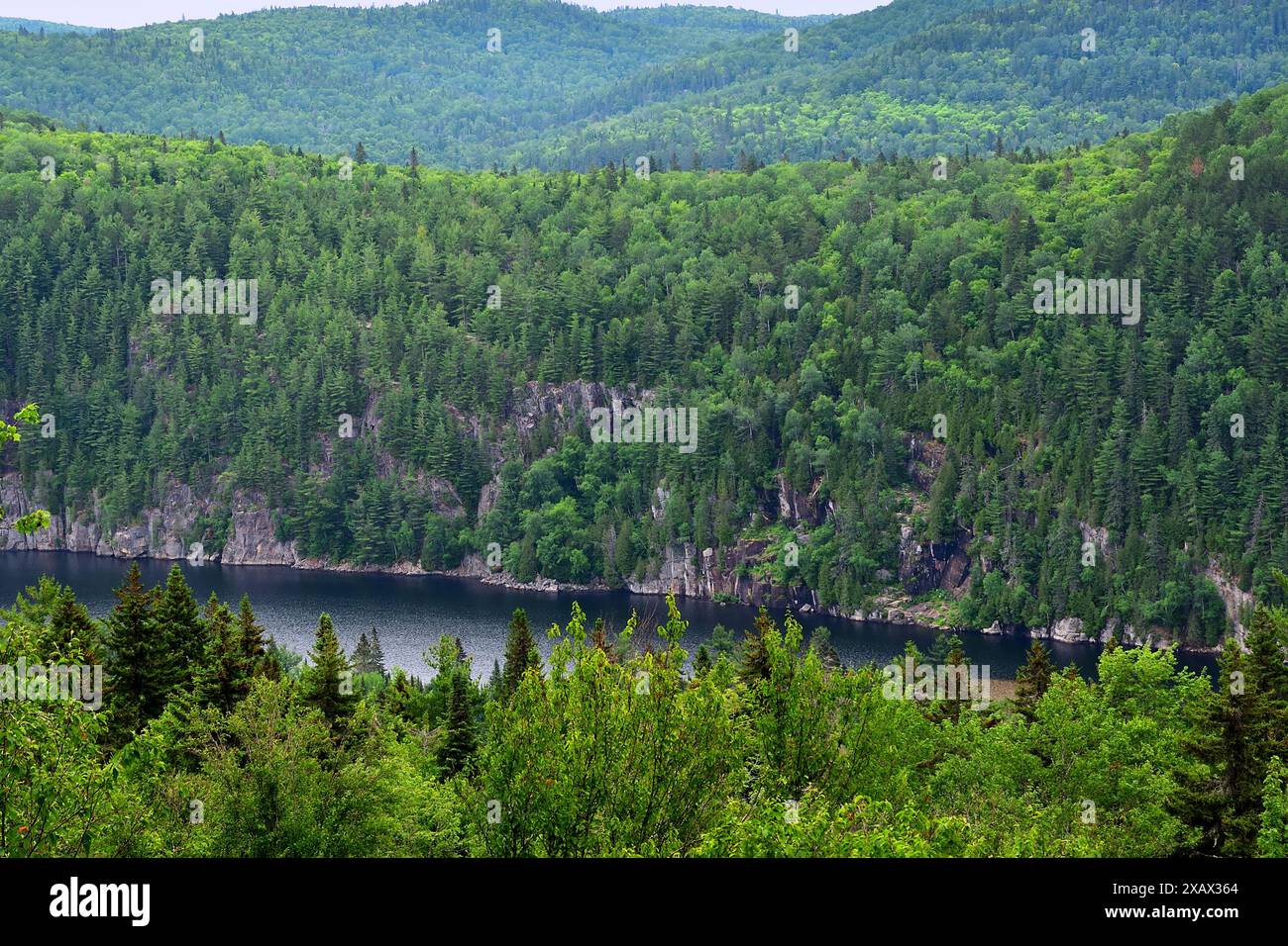 La mauricie national park lac hi-res stock photography and images - Alamy