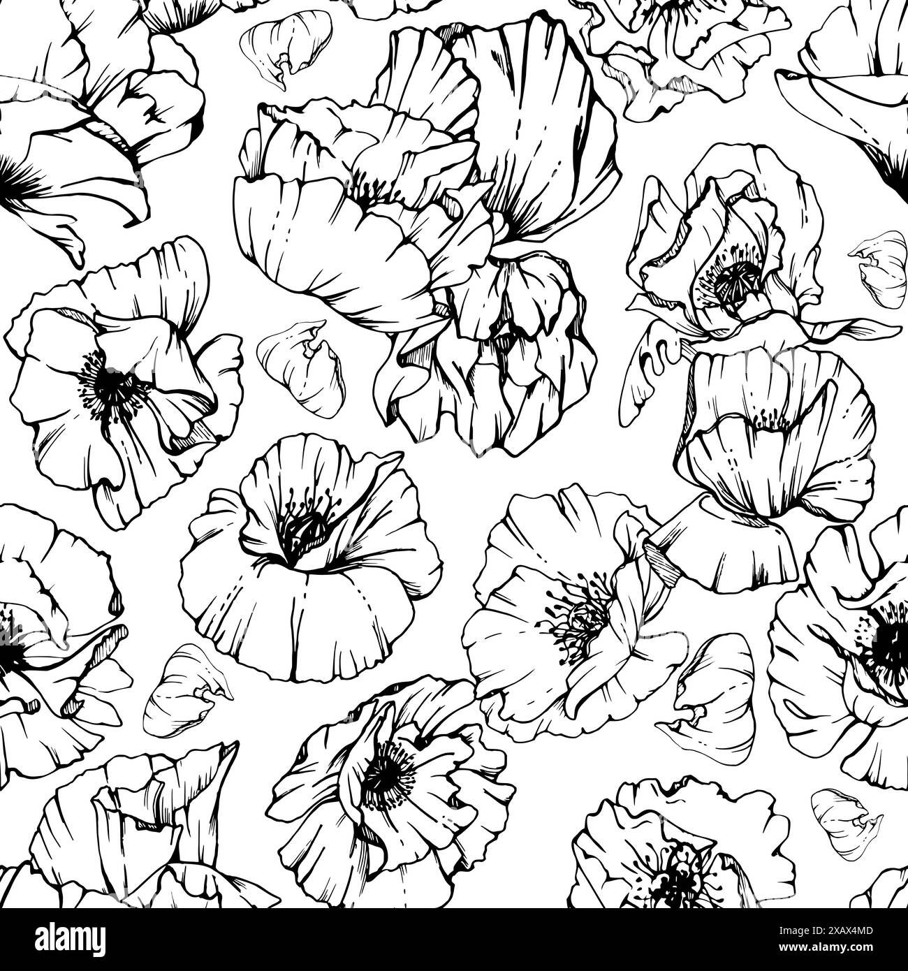 Hand Drawn Vector Graphic Botanical Illustration Flowers Leaves Red