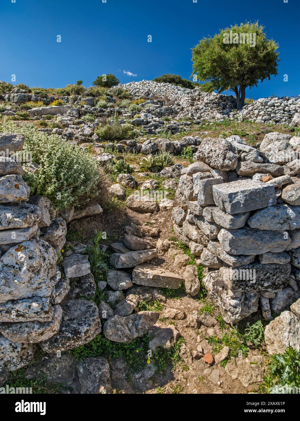 Psiloris geopark hi-res stock photography and images - Alamy