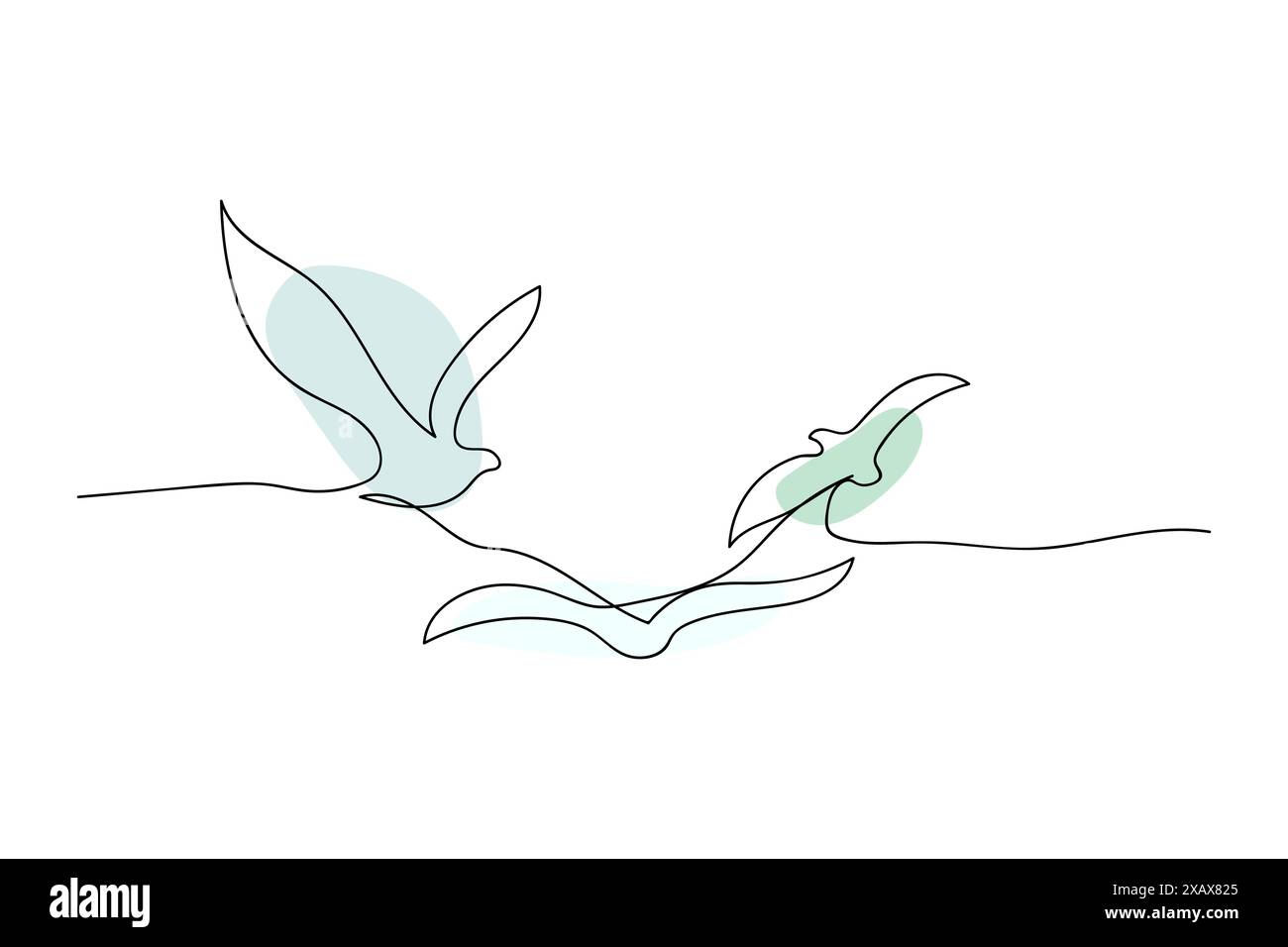 Sea gull bird hand drawn. lineart continuous line drawing. Single line ...