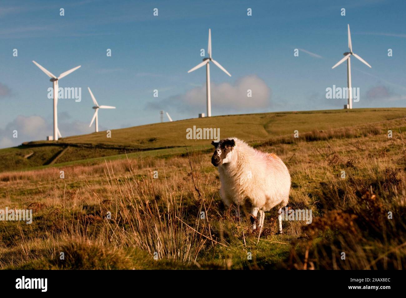 Mynydd maendy wind farm hi-res stock photography and images - Alamy