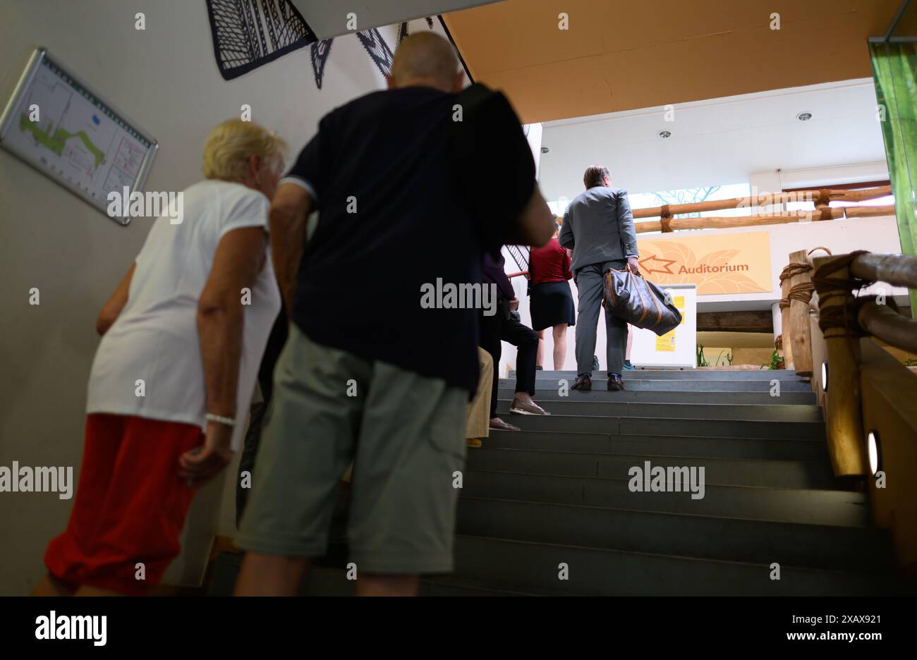 09 June 2024, Saxony, Dresden: AfD top candidate for the European ...