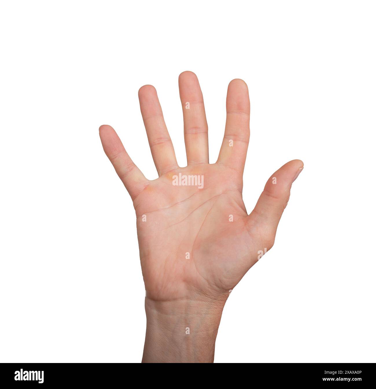 Open palm hand waving hello or goodbye, isolated on white background ...