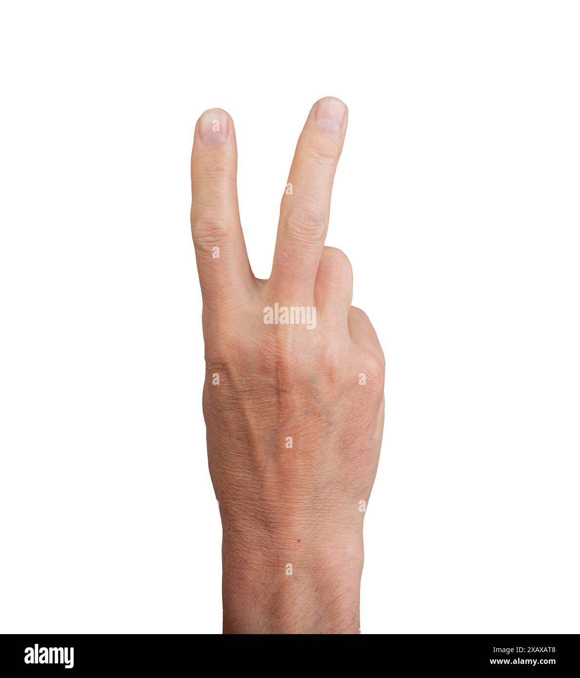 Hand showing the V sign for victory and peace, side view. Isolated on ...