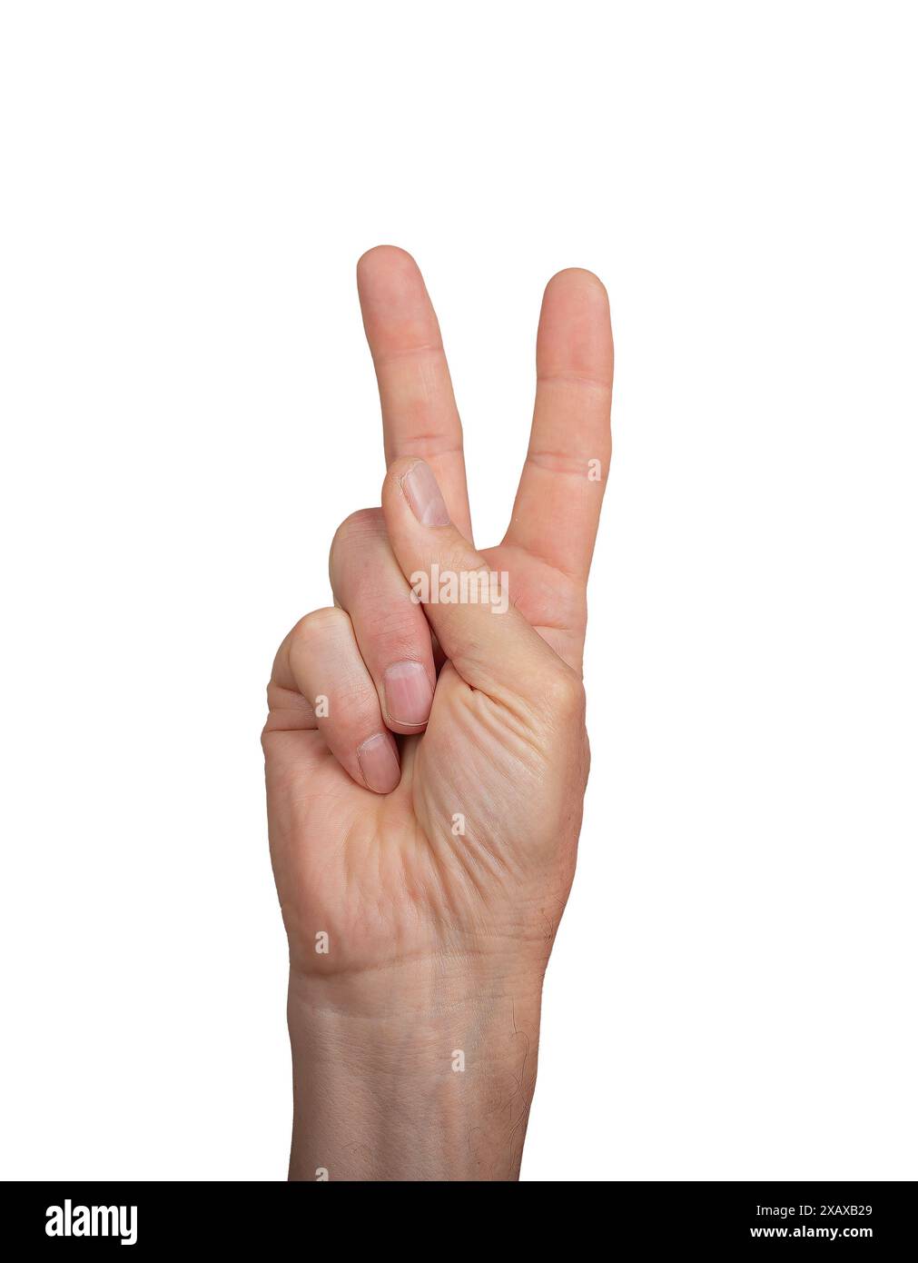 Hand showing the V sign for victory and peace. Isolated on white ...