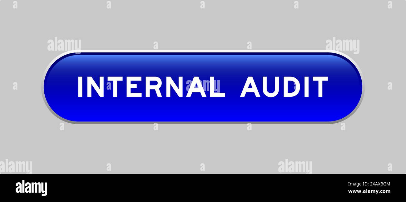 Blue color capsule shape button with word internal audit on gray ...
