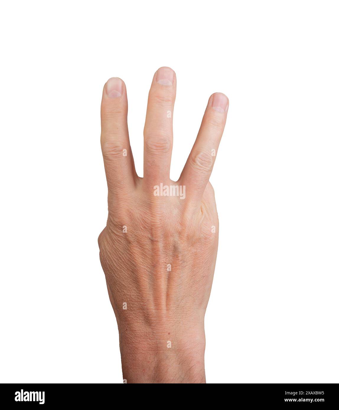 Hand showing three fingers, isolated on white background. Gesture ...