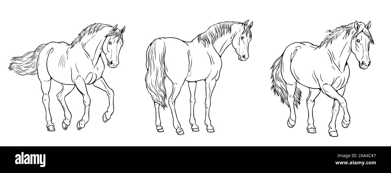 Beautiful horses. Digital drawing of a horse. Equine drawing to color ...