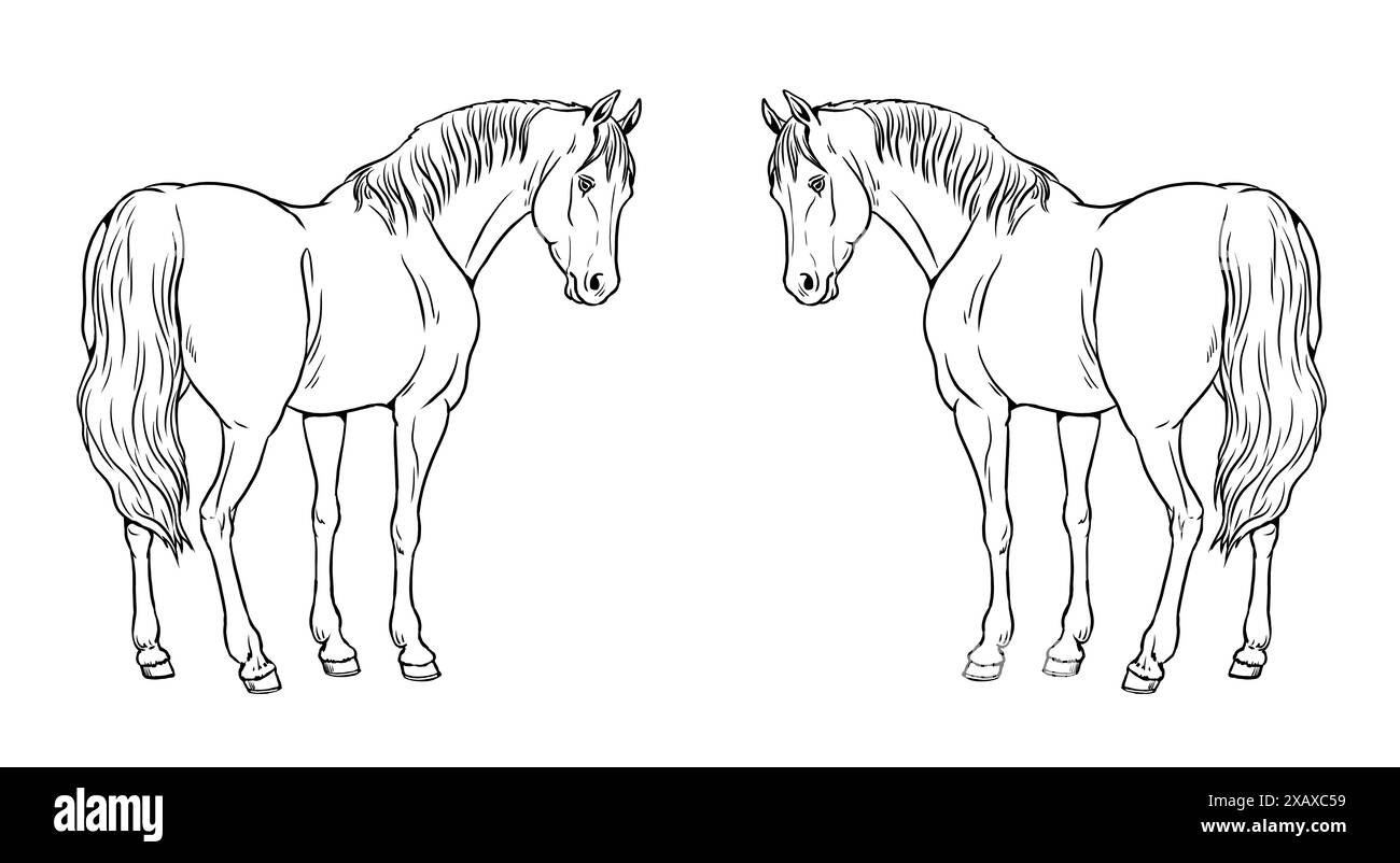 Beautiful horses. Digital drawing of a horse. Equine drawing to color ...