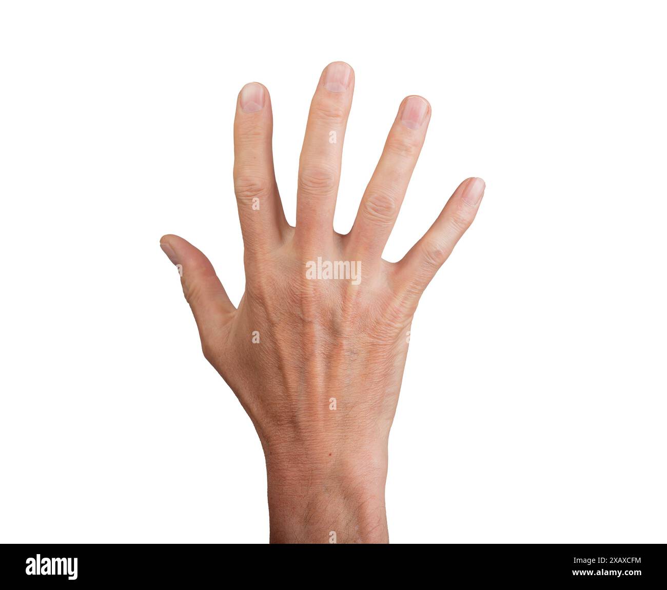 Hand waving hello or goodbye, isolated on white background. Open palm ...