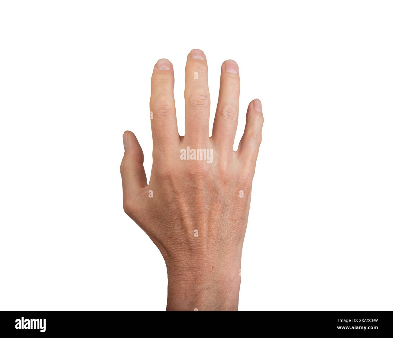 Right hand palm open signal hi-res stock photography and images - Alamy