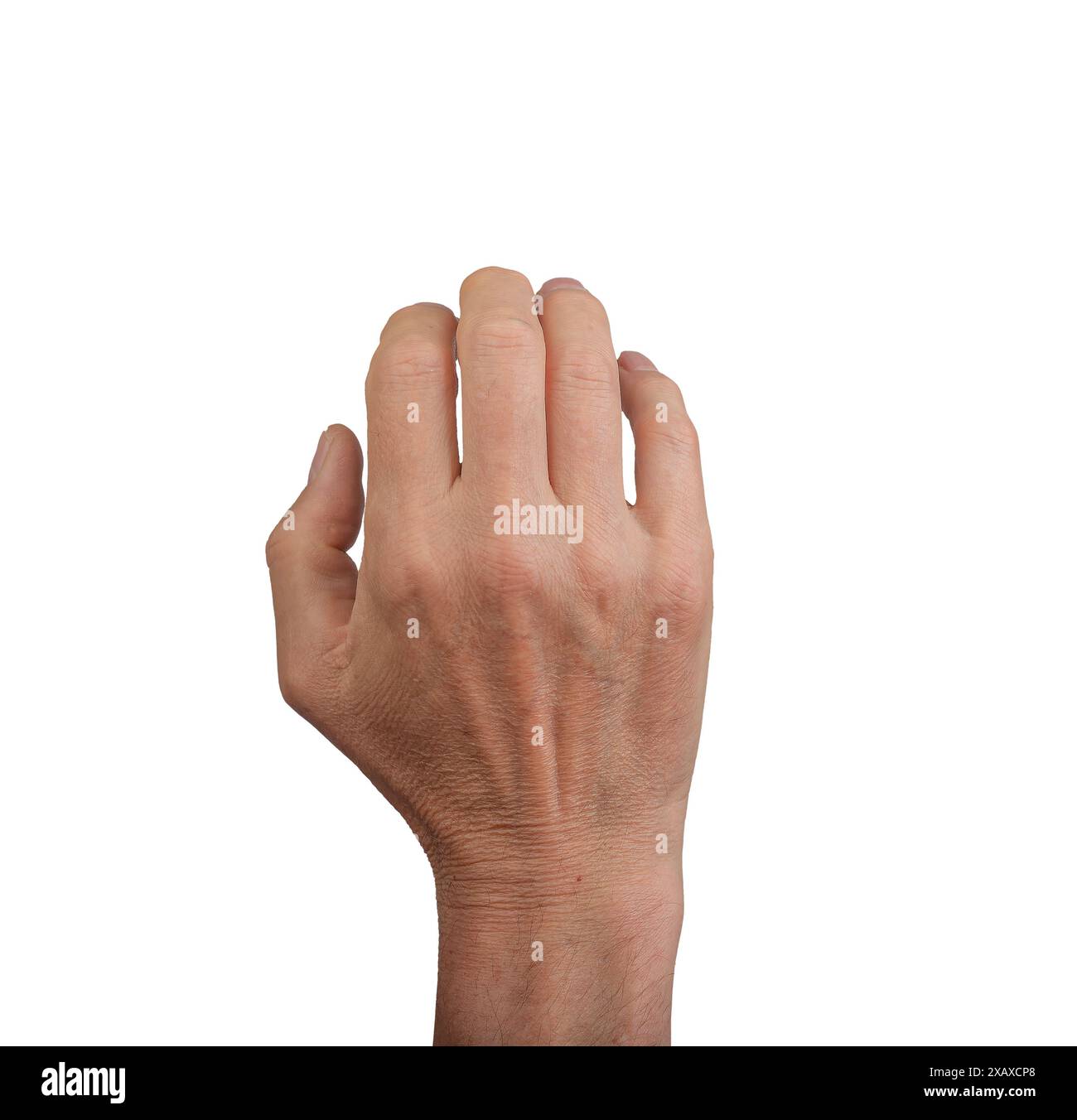 Hand with fingers bent like claws, showing a gripping gesture. Isolated ...