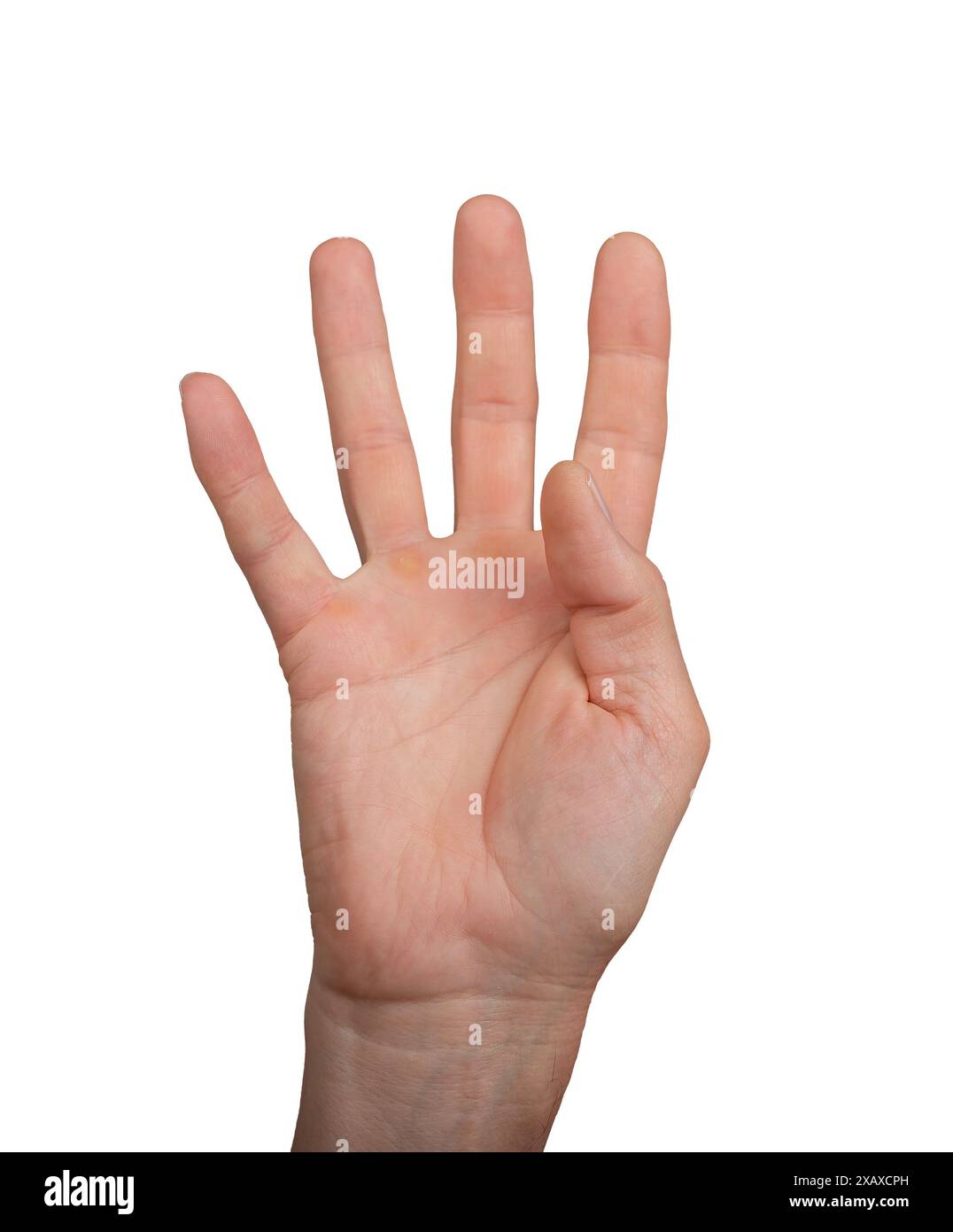 Hand showing four fingers, isolated on white background. Male hand in a ...