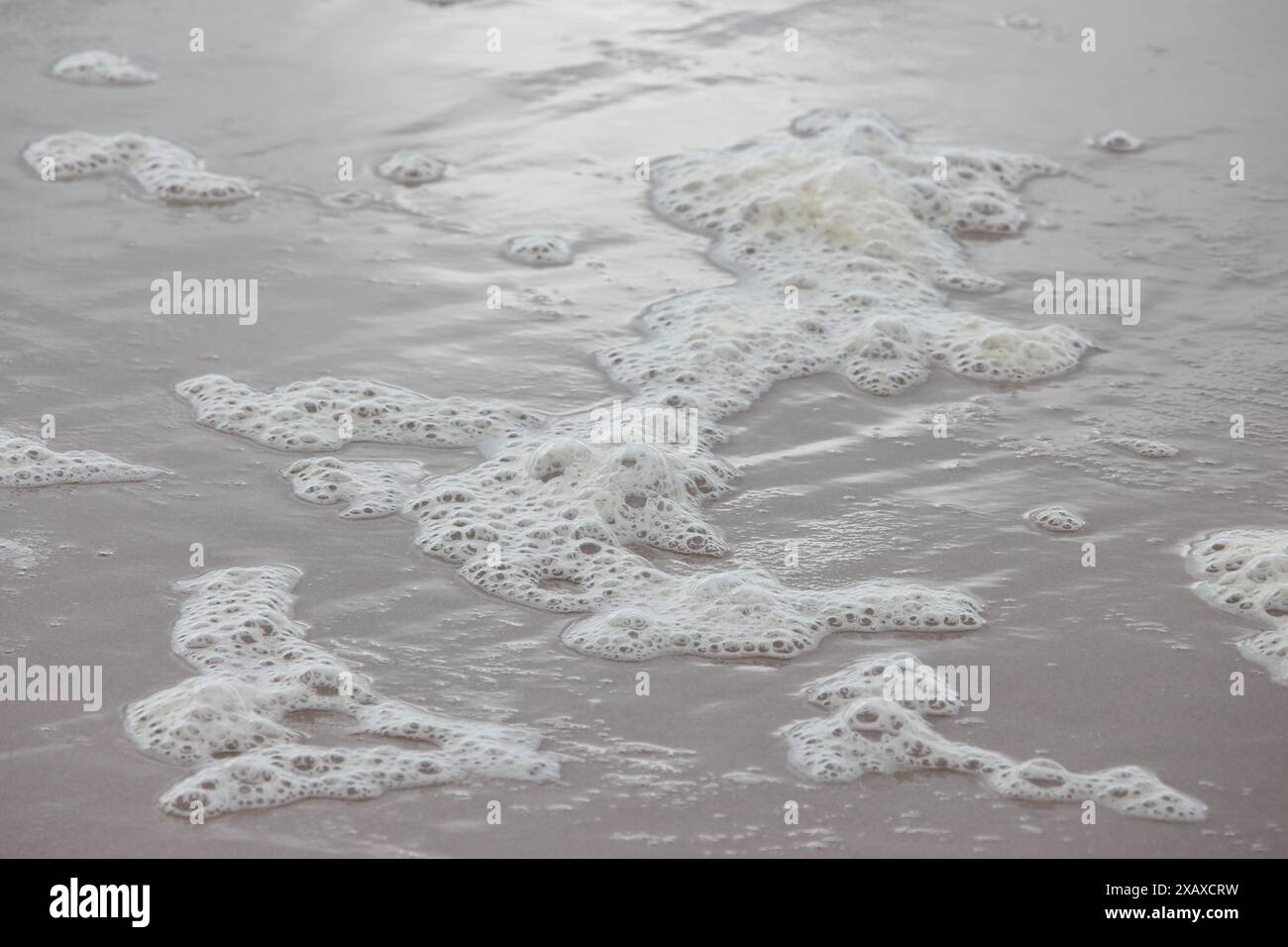 A close up photograph of foamy scum on the water. Sea foam on a sandy ...