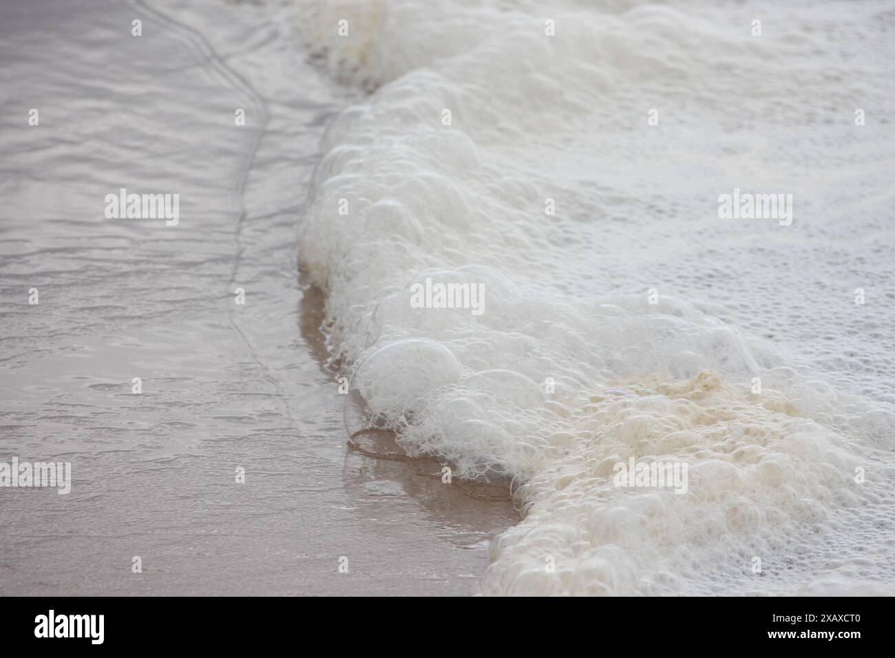 A close up photograph of foamy scum on the water. Sea foam on a sandy ...