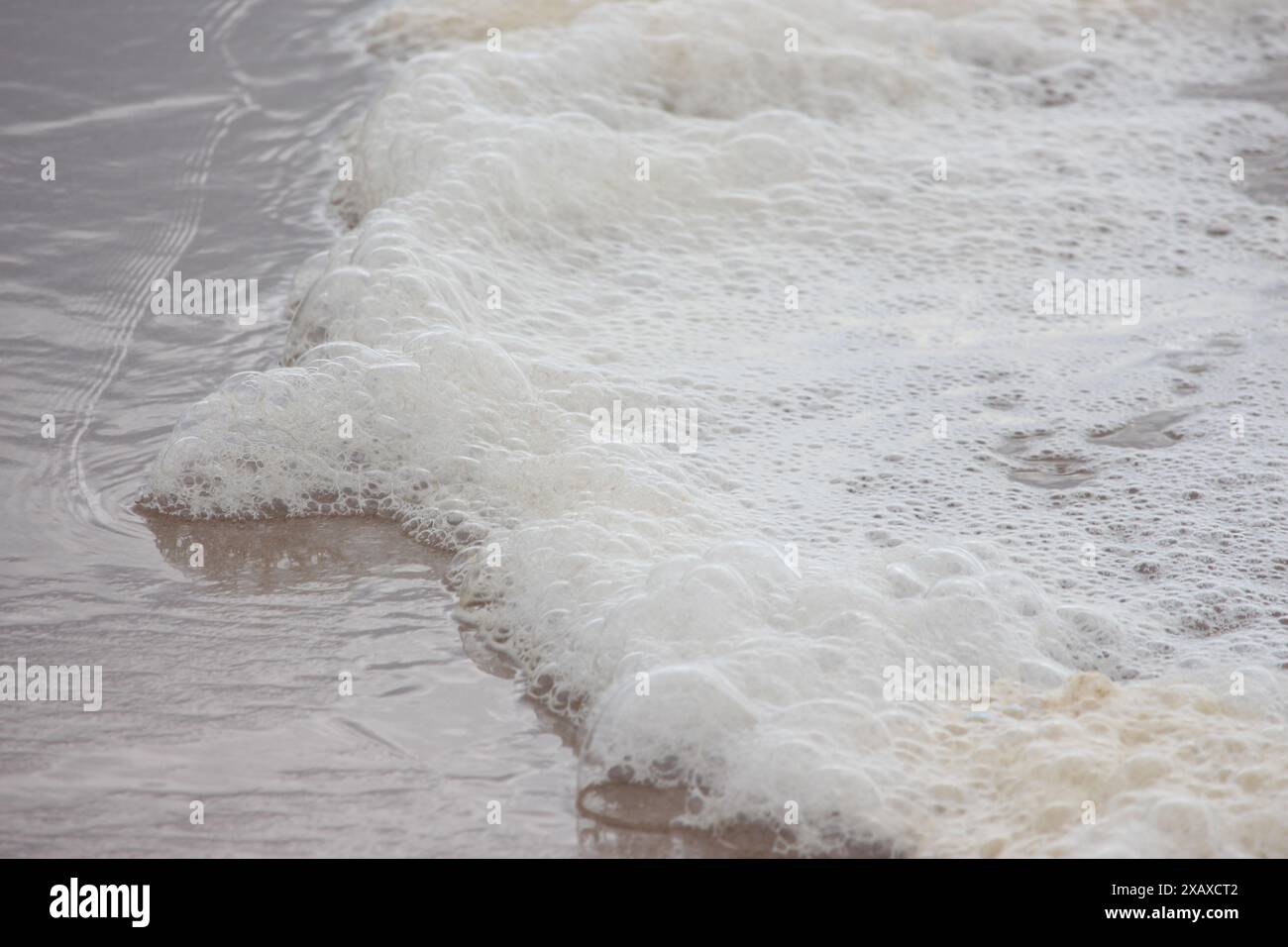A close up photograph of foamy scum on the water. Sea foam on a sandy ...