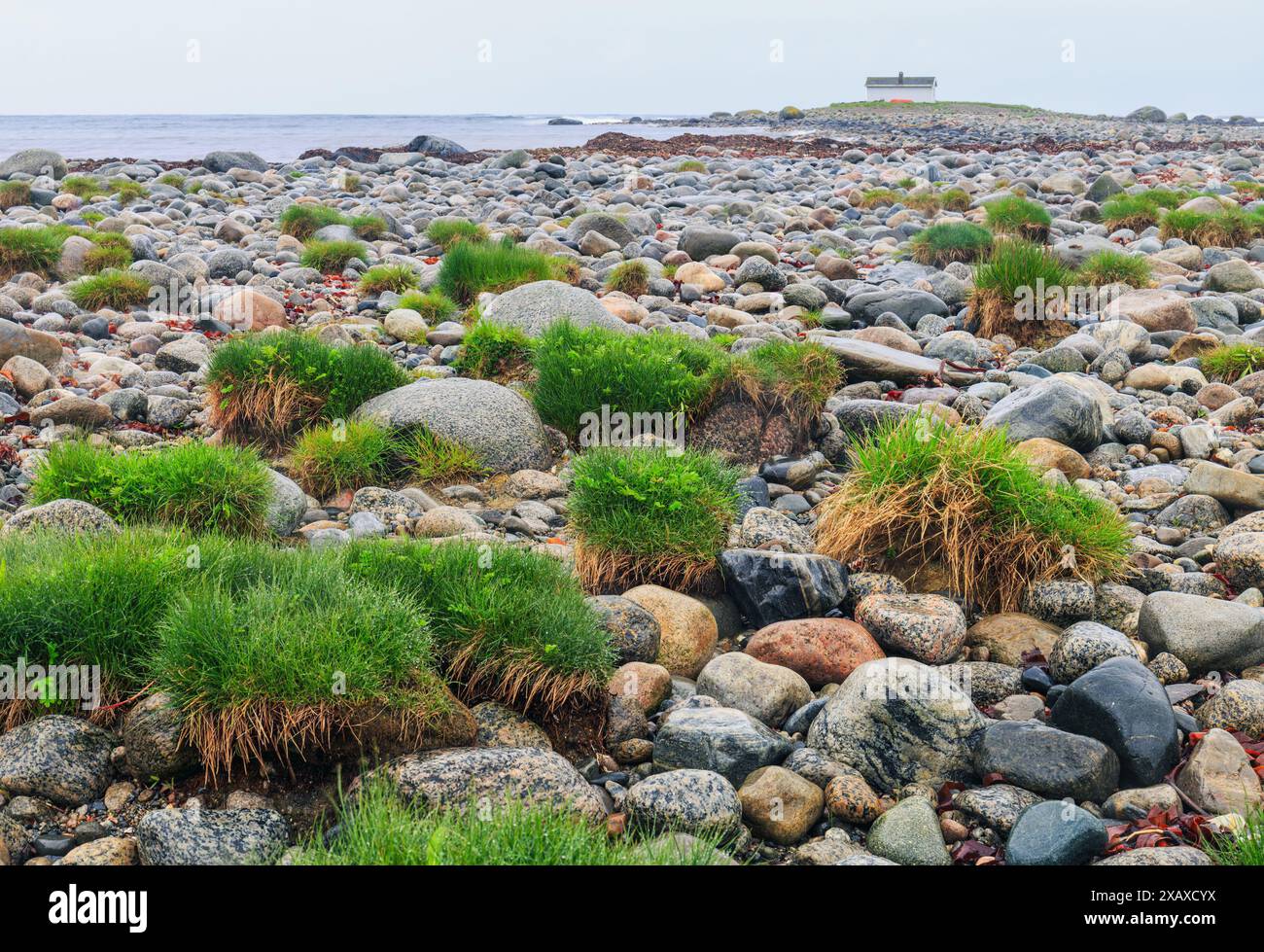 Rocky coastline at Lista beach with patches of green grass. Tranquil ...