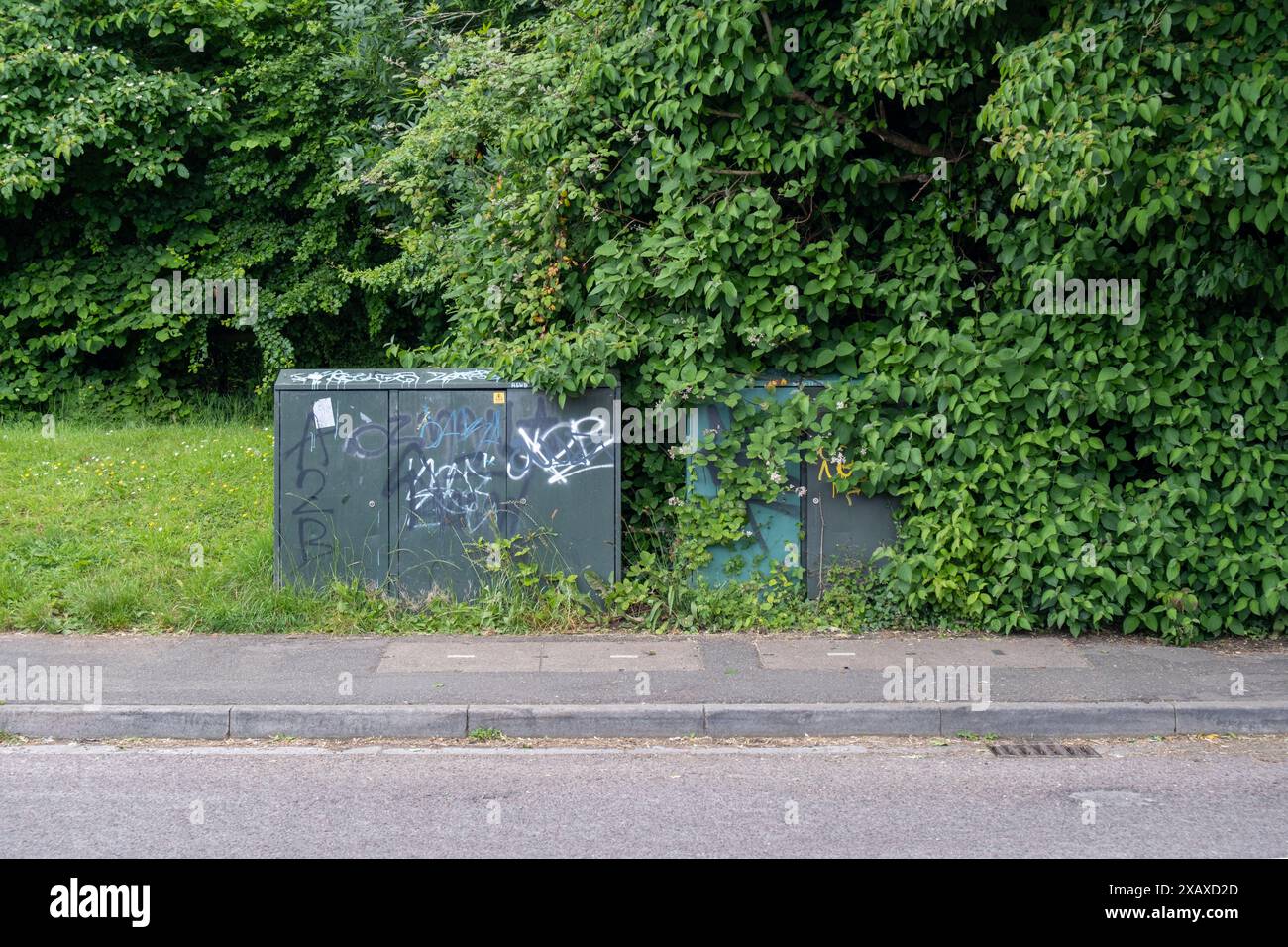 Green painted BT junction box Stock Photo - Alamy