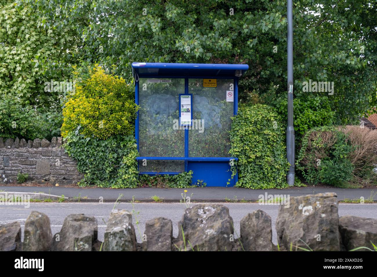 Blue Bus Shelter Stock Photo - Alamy