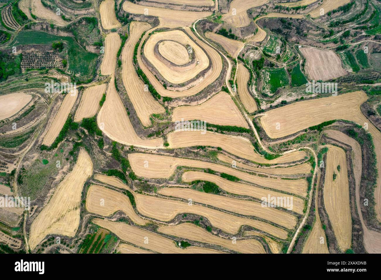 Loess plateau terraces hi-res stock photography and images - Alamy