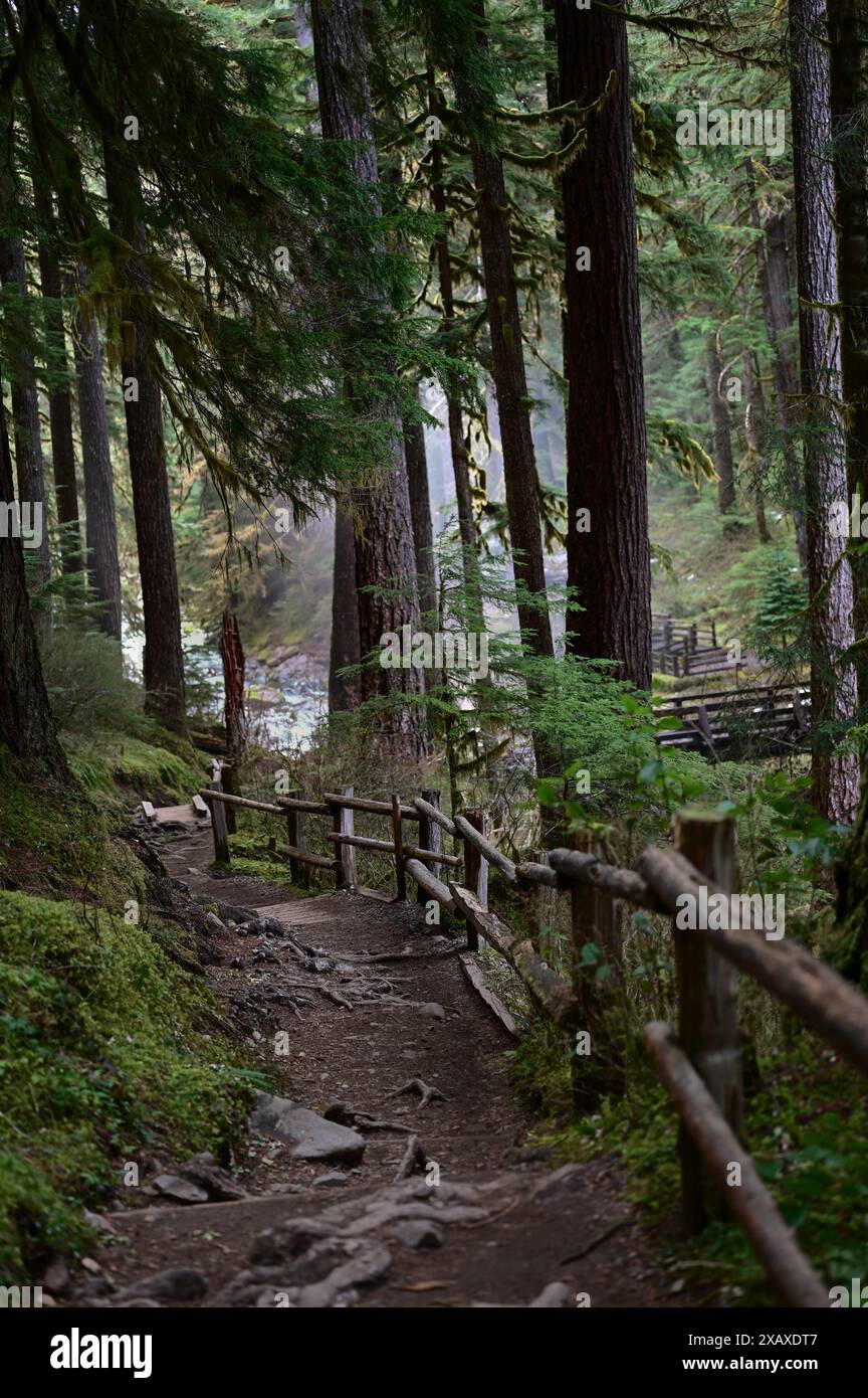 Sol Duc Falls trail in the Olympic National Park, WA Stock Photo - Alamy