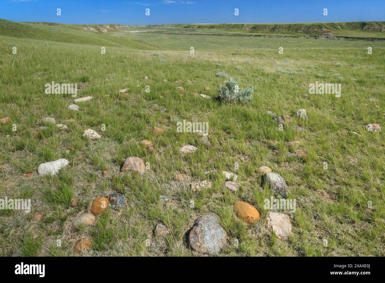 tipi ring and the milk river valley viewed from lost river wildlife ...