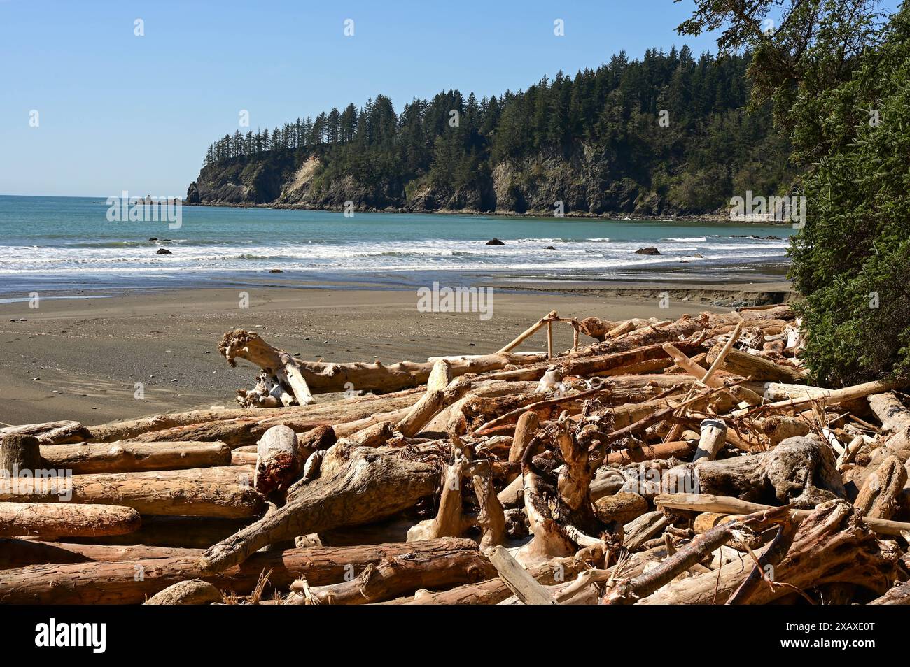 Third Beach, Olympic National Park, Washington State Stock Photo - Alamy