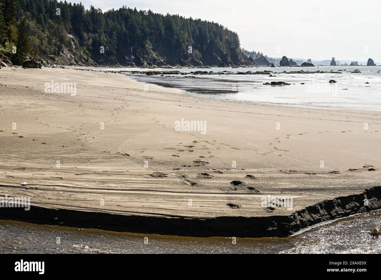 Rocky Coast at Third Beach, Olympic National Park, WA state Stock Photo ...