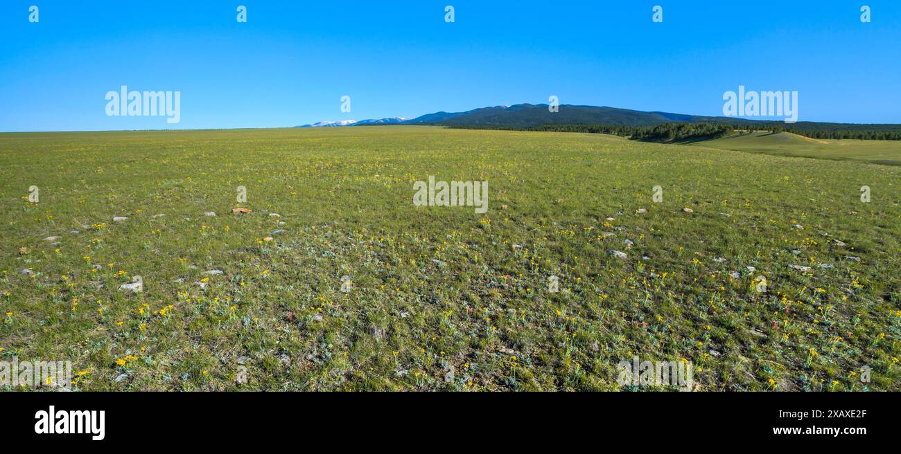 panorama of a pair of tipi rings on the prairie below the big snowy ...