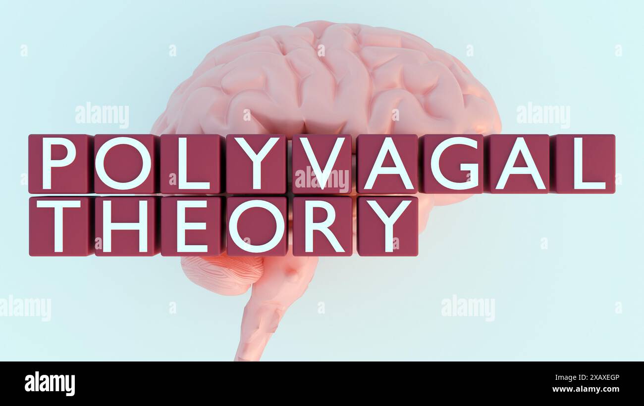 3d rendering of cubes with words "POLYVAGAL THEORY" and human brain ...