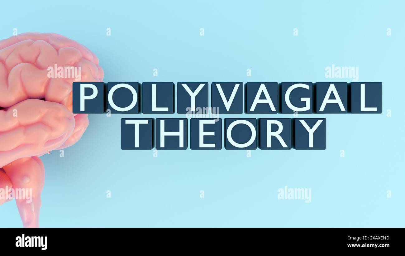 3d rendering of cubes with words "POLYVAGAL THEORY" and human brain ...